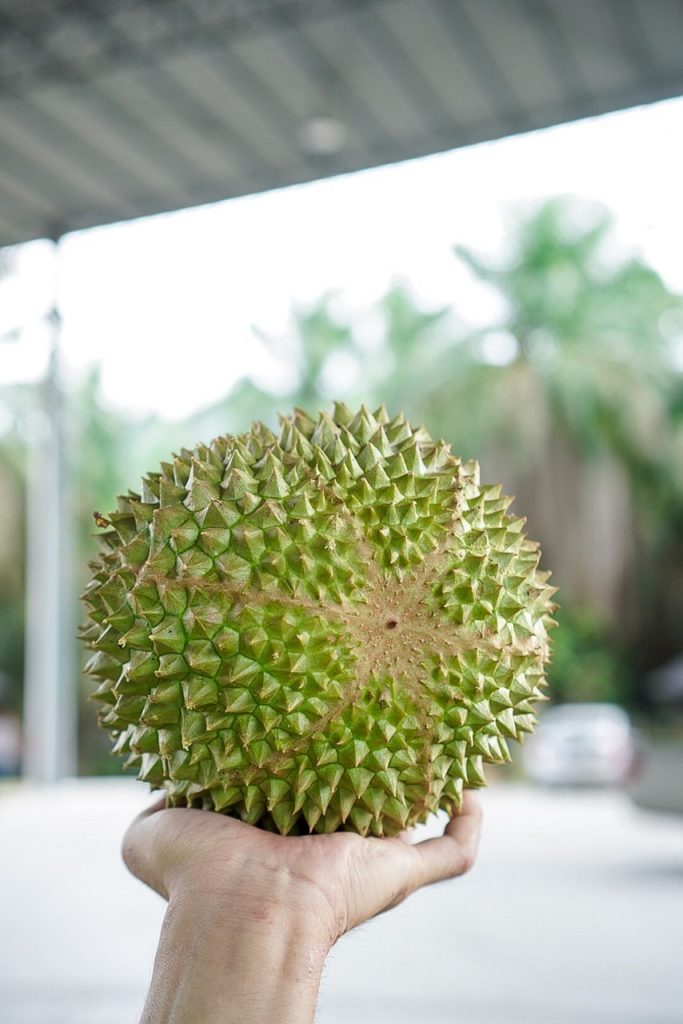 [Musang King] Fresh Durian Pulp – MountainCat